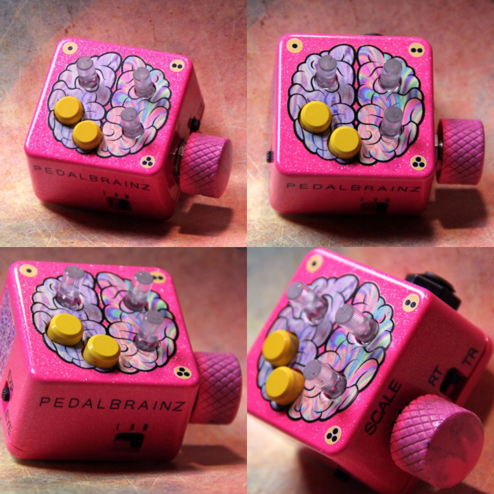 Pedal Brainz Left Brain - Expression Modulator | Axe... And You Shall Receive