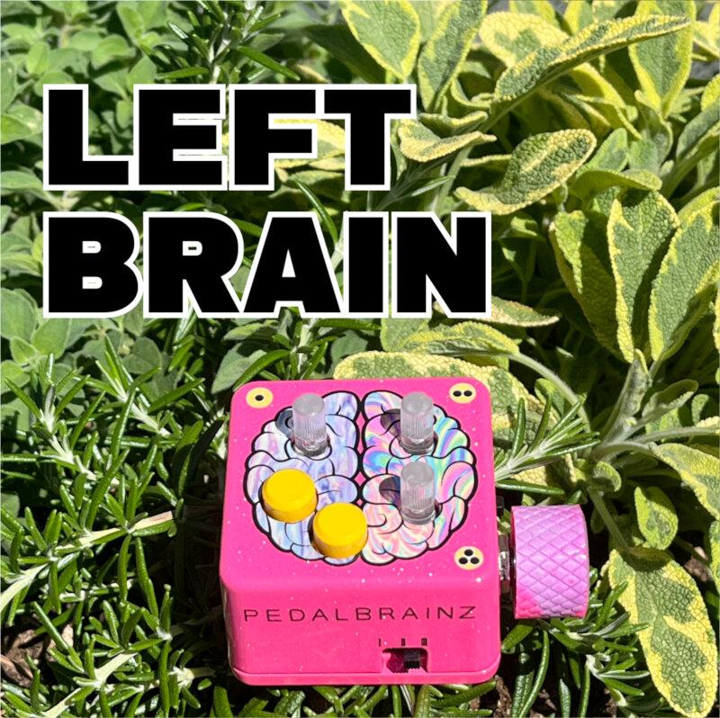 Pedal Brainz Left Brain - Expression Modulator | Axe... And You Shall ...