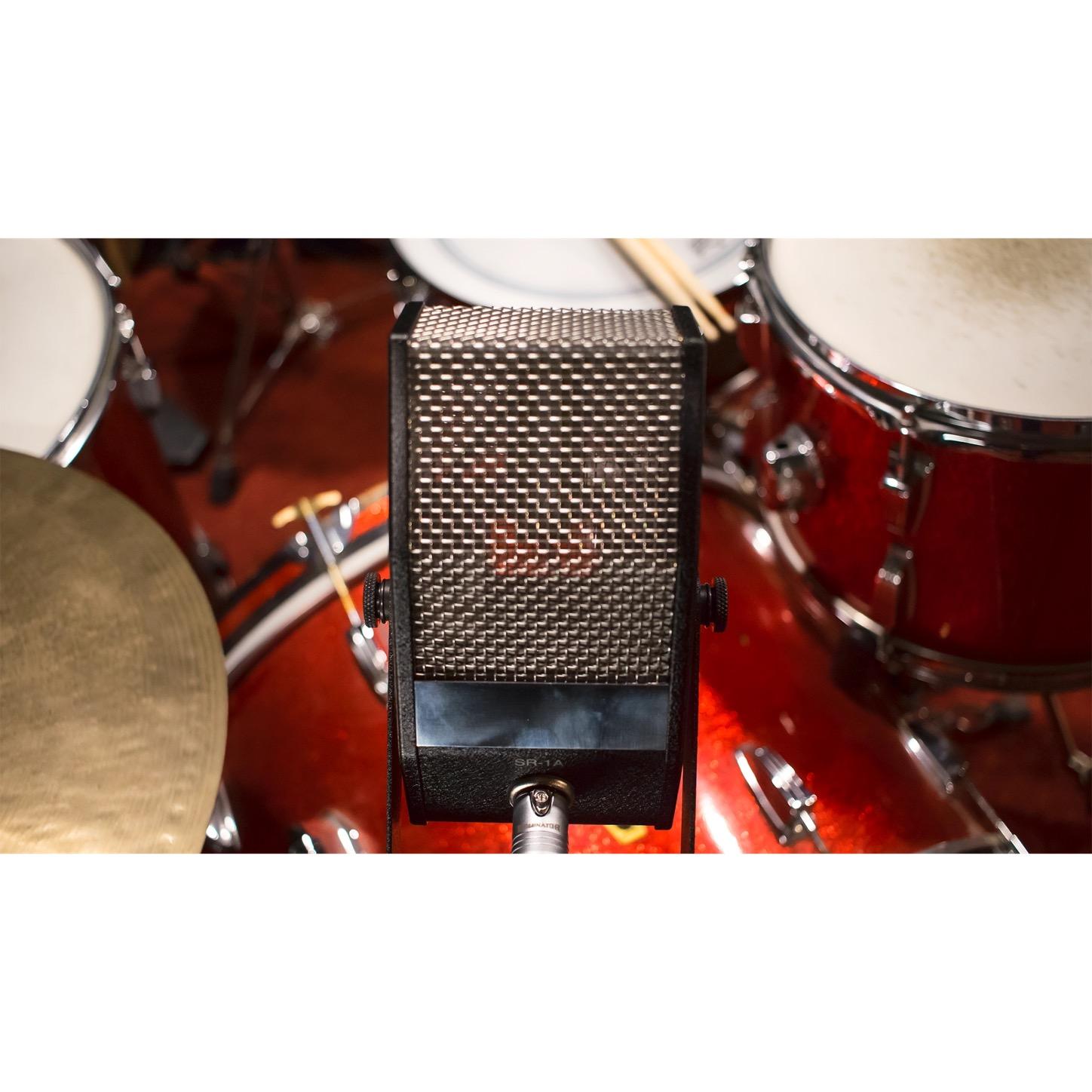 Stager SR-1A Vintage Alnico-V Figure 8 Ribbon Microphone | Axe... And ...